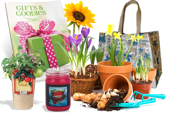 JustFundraising.com | Spring fundraising ideas